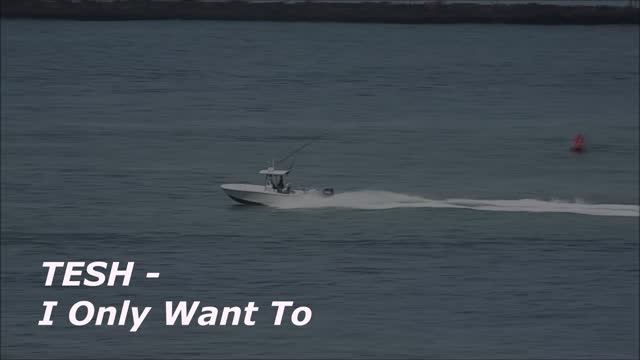 TESH - I Only Want To