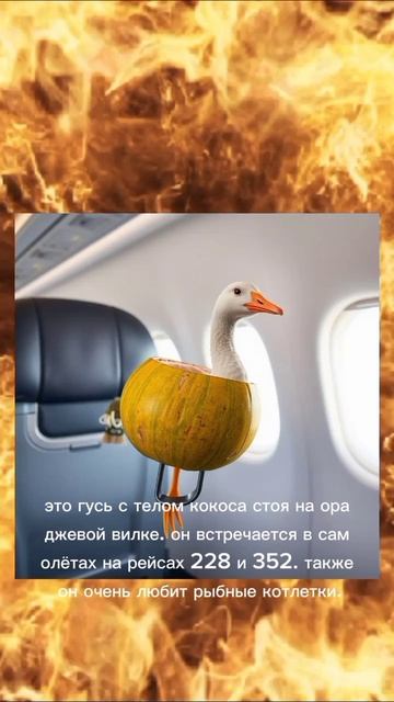 а вы его уже встречали?