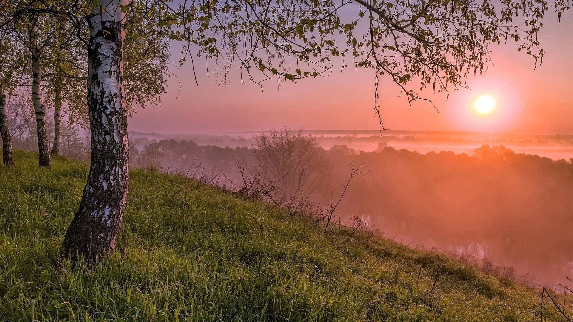 НА ДЕРЕВНЕ ТУМАН...