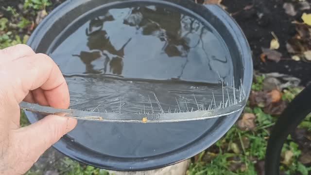 Морозное утро сегодняшнего дня