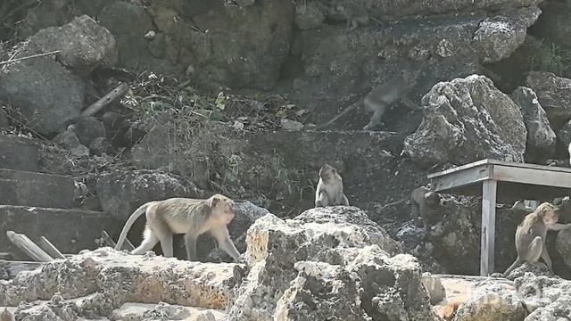 16. Бали. Меласти пляж.mp4