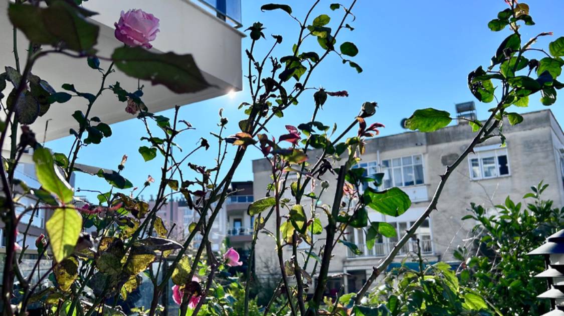 Продолжаем отдыхать в Турции в январе ✌️