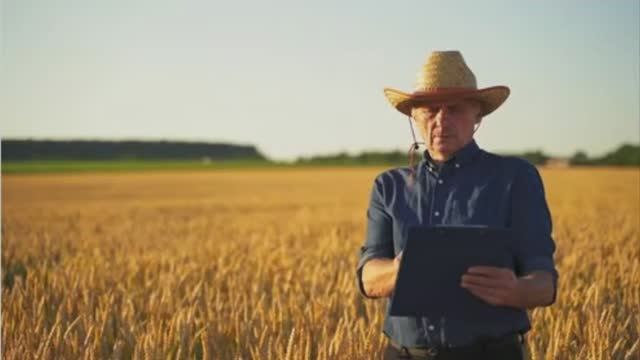 У деда МакДоналда была ферма.