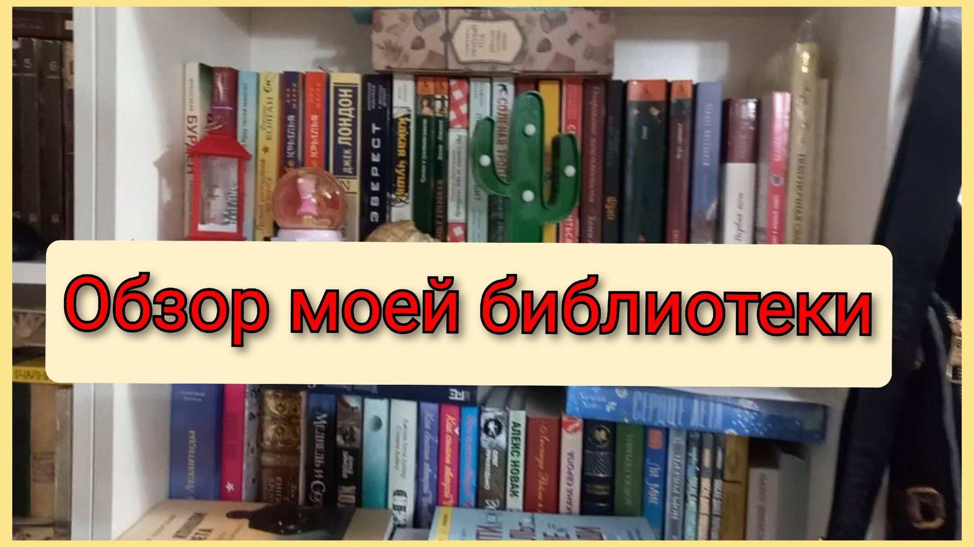 Обзор моей домашней библиотеки июль 2025
