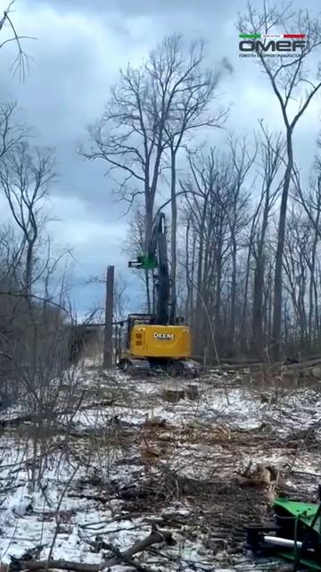 🟢 BI400 Лесные валочные ножницы  @OMEFGROUP на экскаваторы 14-24тн