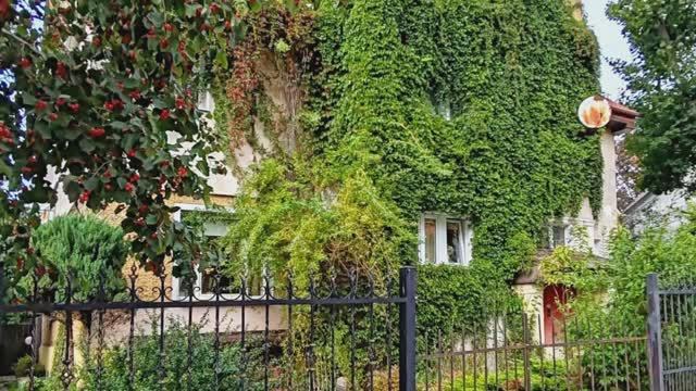 КАЛИНИНГРАД  сентябрь-2025