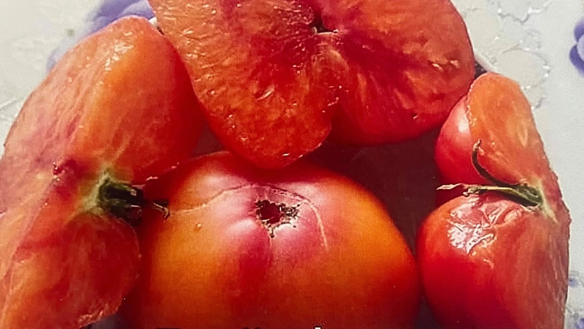 Сорта томатов ЧЕРРИ и АНАНАСОВ в моей коллекции. Смотрим и выбираем для следующего сезона.