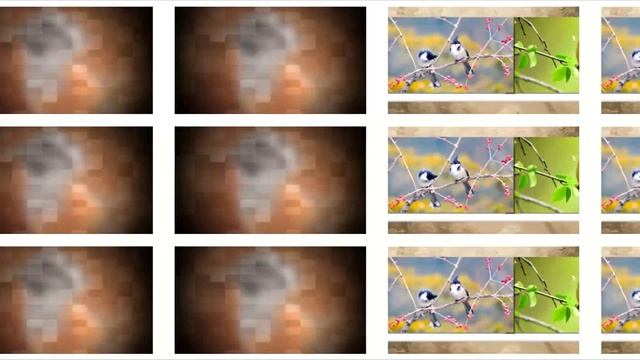 Ramio Lin - Меркнущие