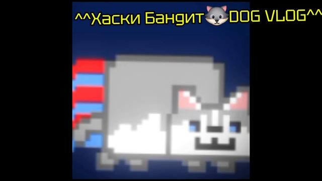 Нян Бандит^^


Nian Bandit^^^