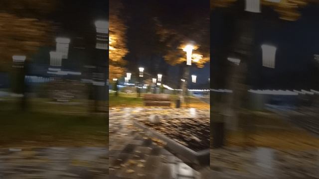 Россия. Тульская область. Осень🍁