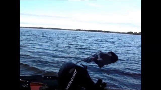 Десногорское вдх.Осень.