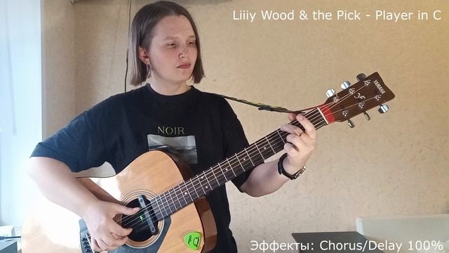 DEMO Трансакустический звукосниматель X2 DOUBLE GO