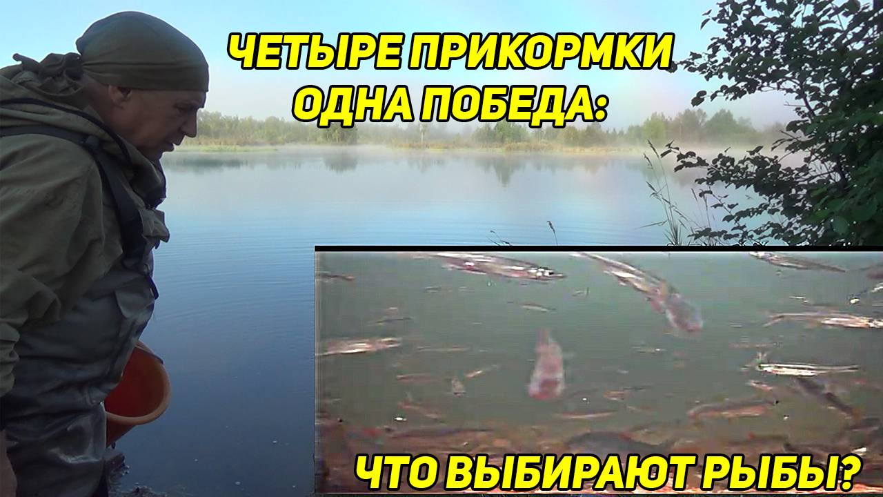Четыре прикормки, одна победа: что выбирают карповые? Тест под водой, который покажет всё!