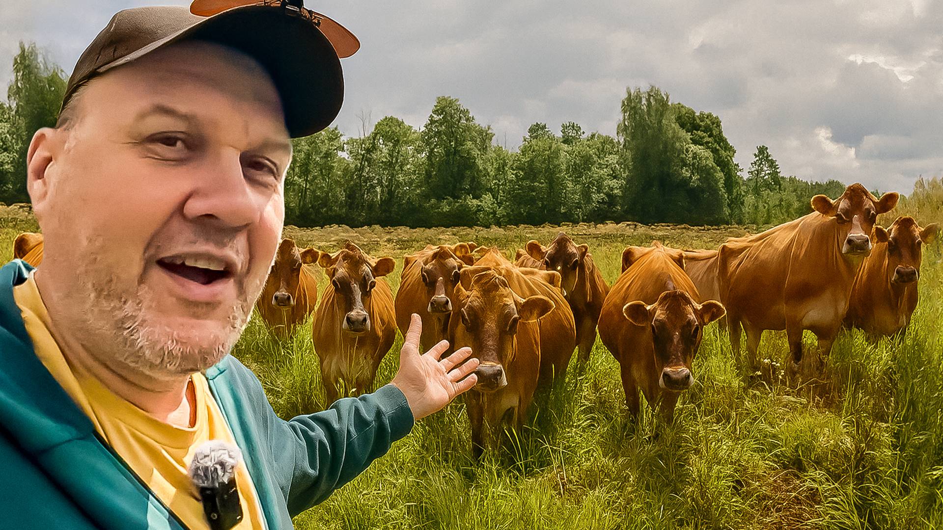 Жизнь с коровами: как создают вкус молока и что из него готовят? Фермерская жизнь в Подмосковье