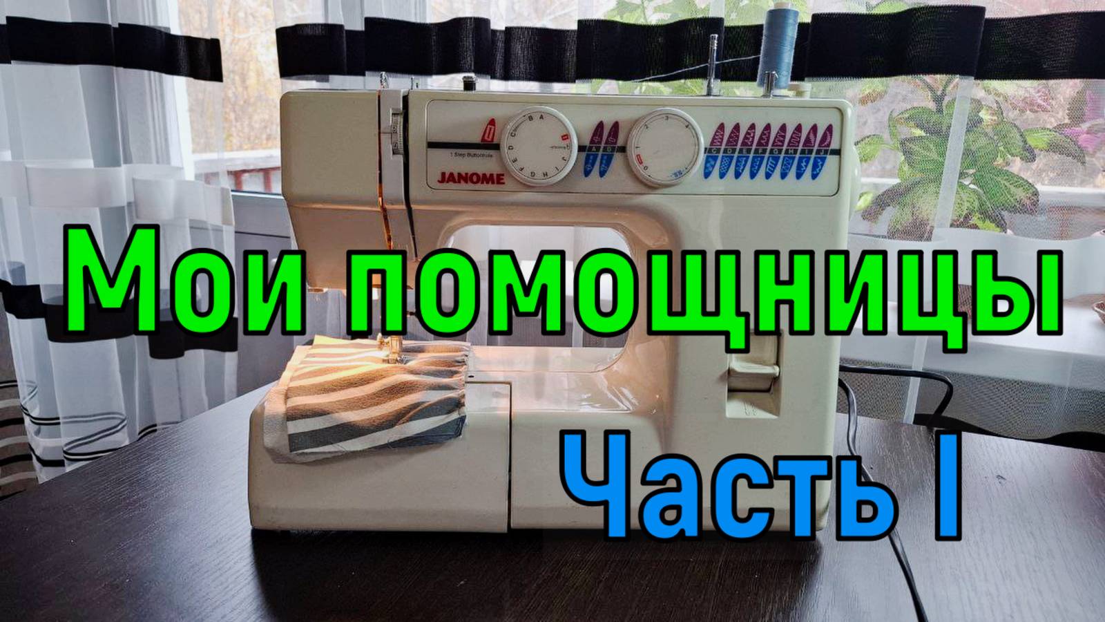 МОИ ПОМОЩНИЦЫ.ЧАСТЬ 1