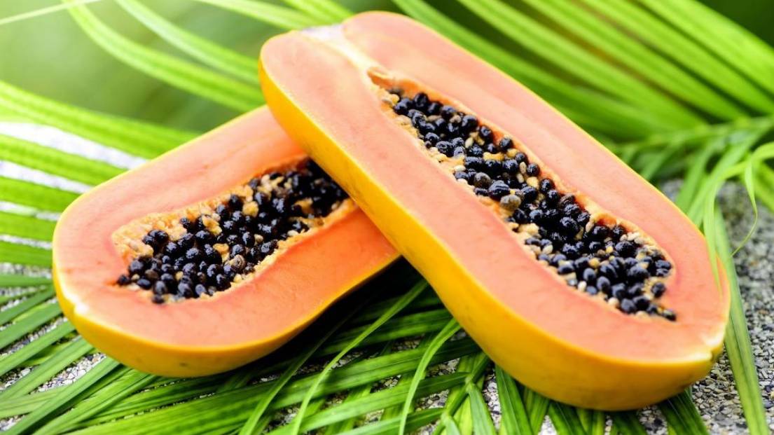 Papaya
