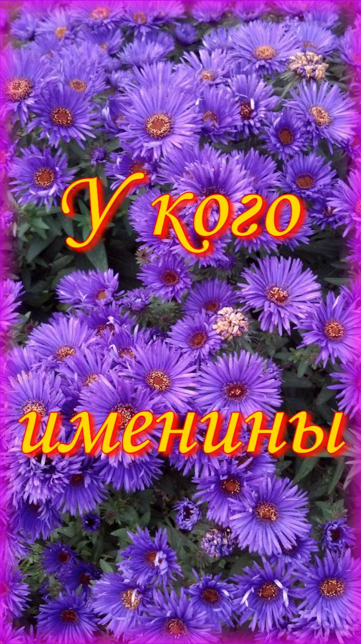 Кто сегодня именинник. У кого сегодня именины. 31 Октября