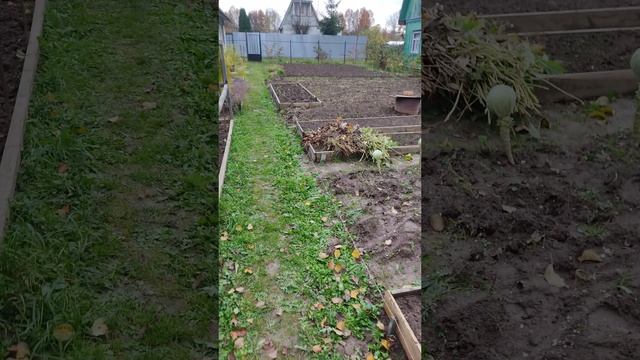 13-10-2025 осенние хлопоты