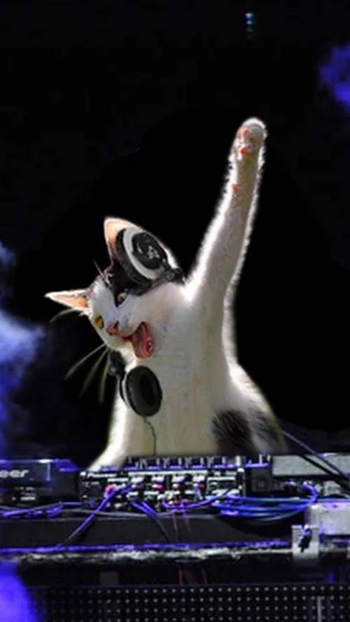 "Дискотека".