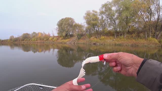 Обновил Приманку Мамка на Кружок.Рыбалка на Спиннинг 2025 с Лодки! Крупный Силикон на Щуку!