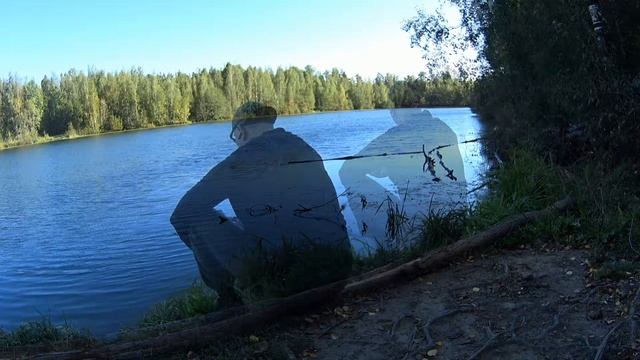 Лесное озеро часть 6 | сентябрь 2025 |