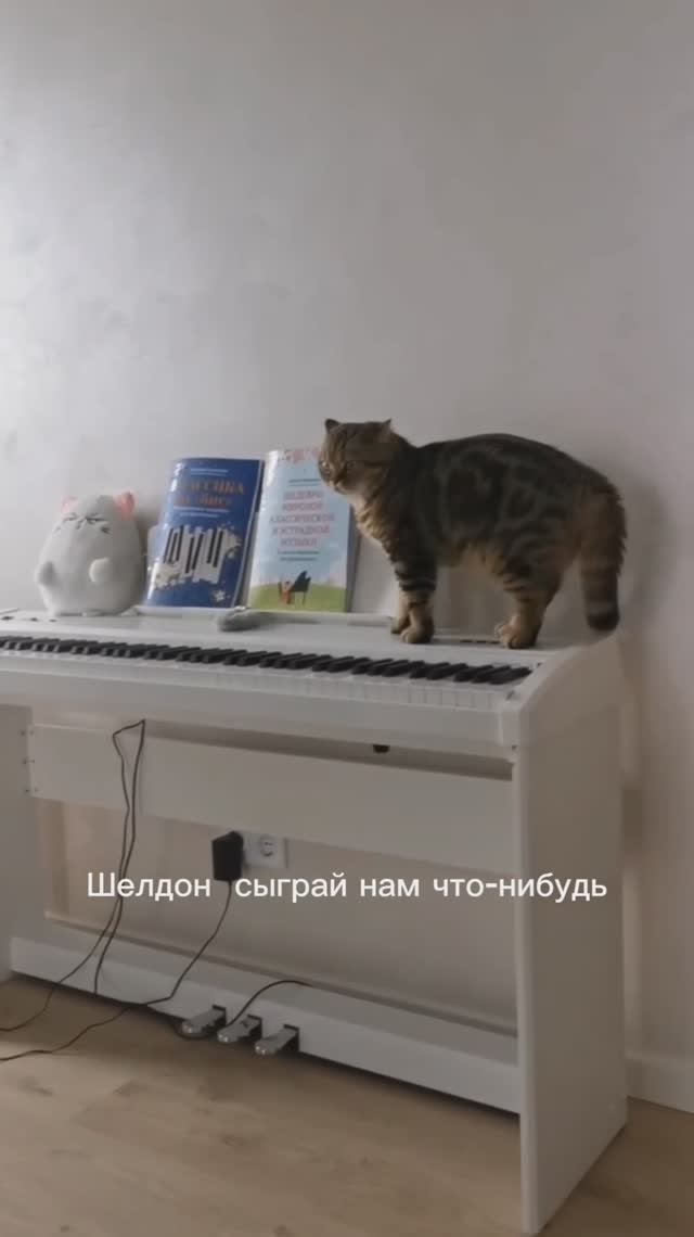 А сбацай нам мурку.