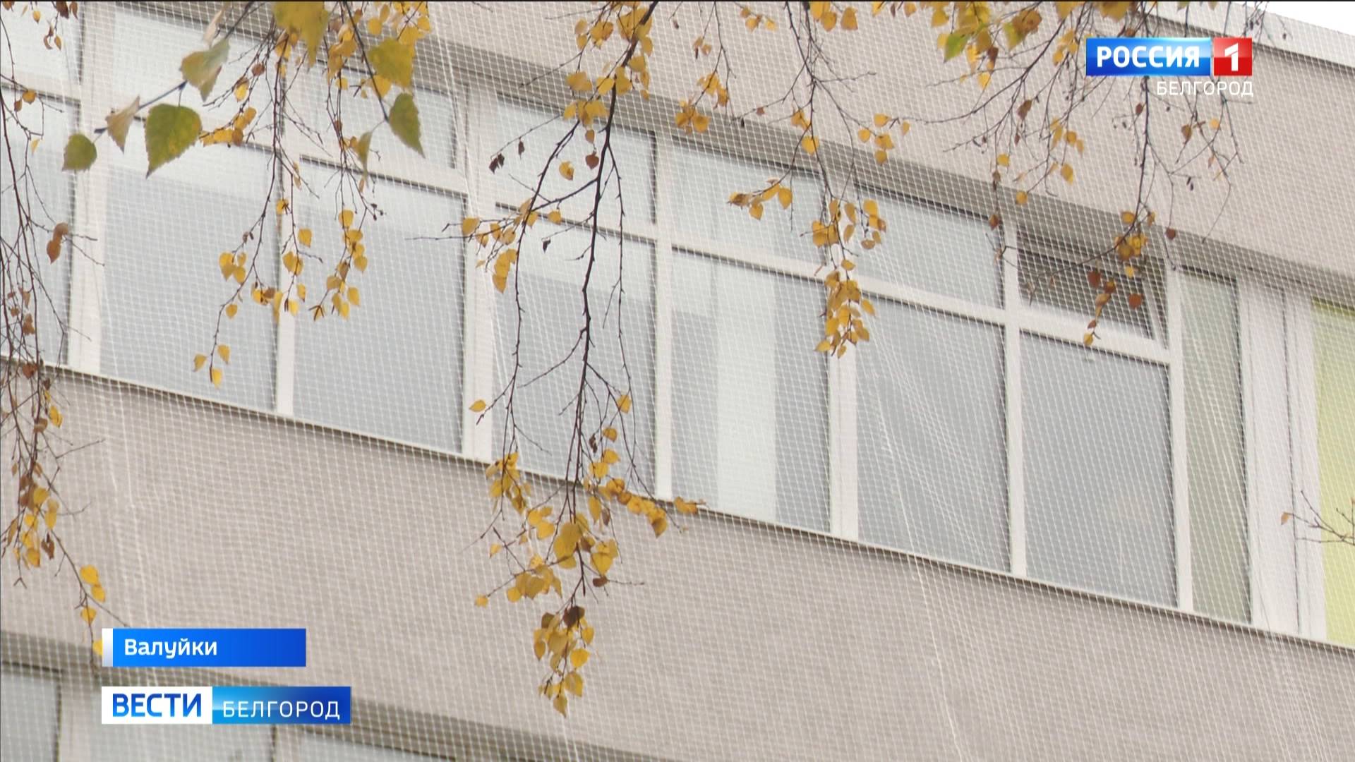 Итоговый выпуск «Вести. Белгород» от 19.10.2025