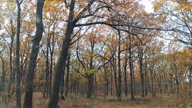 💪Моя попытка номер пять.....
Перезалив видео из-за ошибки на 3 минуте😭