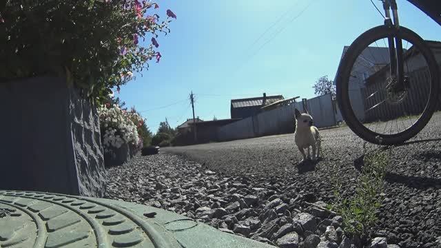 PROкат на лесное озеро часть 2 | август 2025|