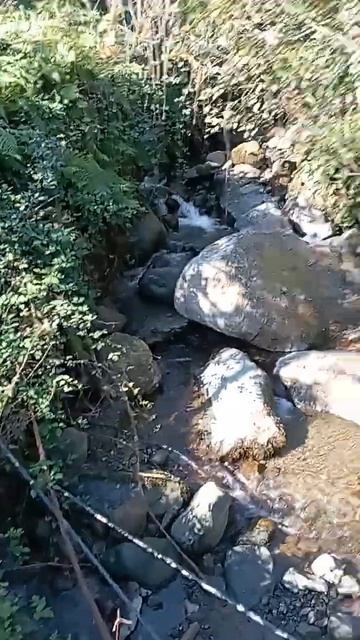 Избушка на курьих ножках. Возле водопада  и русла к р.Аджарисцкали,Батуми,8яВавилоно-Ассир-я цивил-я