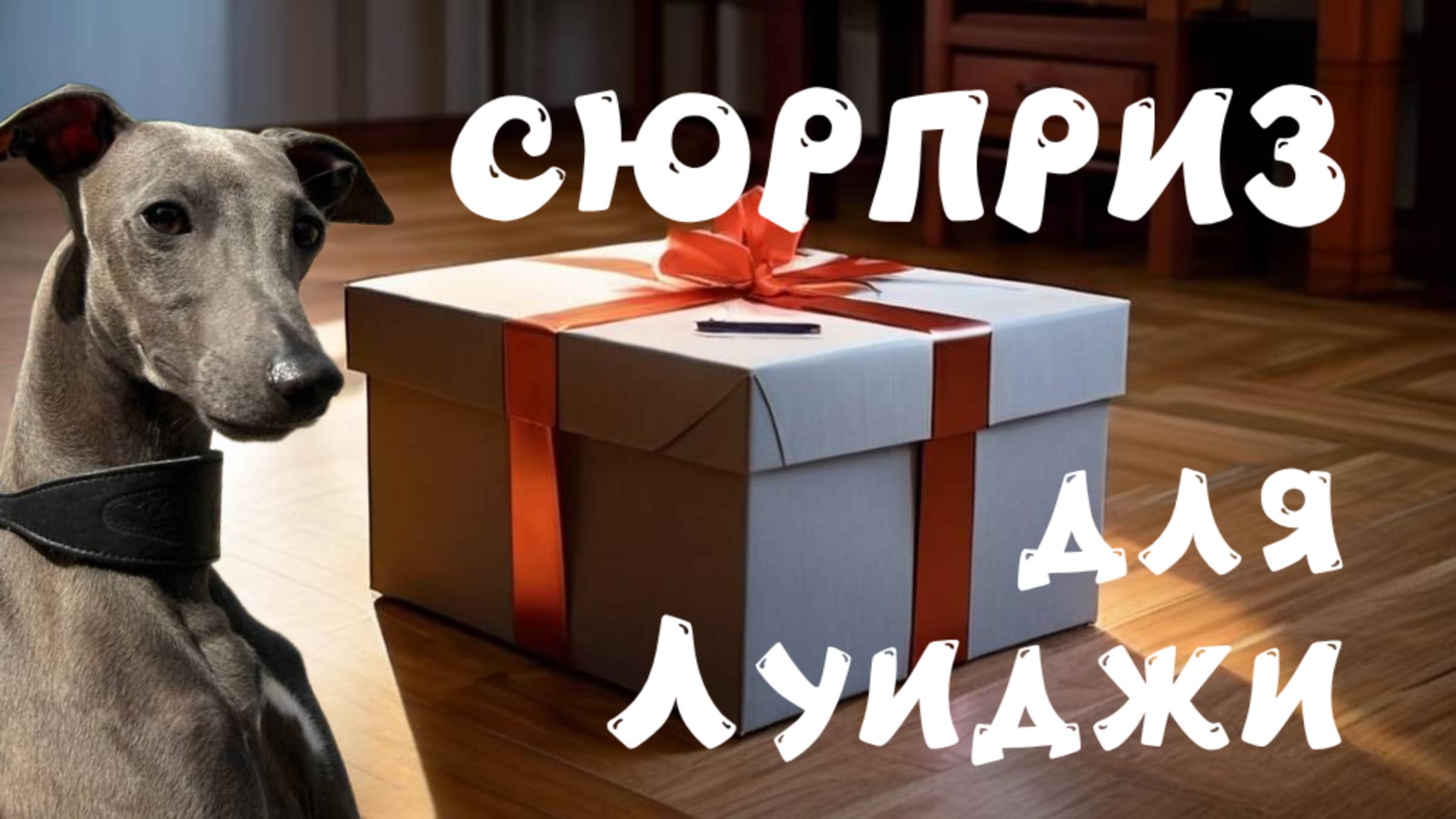 СОБАКИ ЛЮБЯТ СЮРПРИЗЫ?
