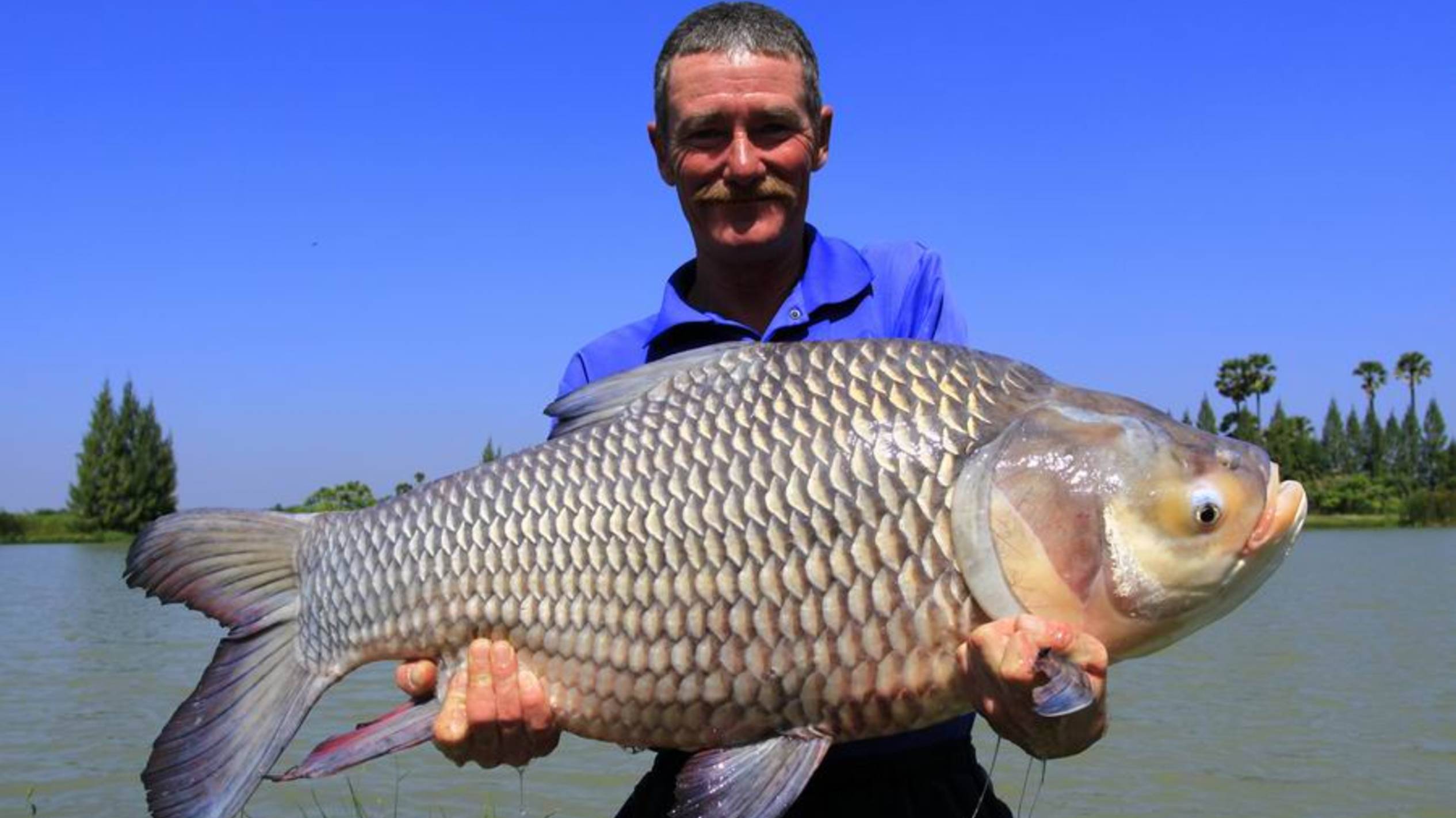 Чё за рыбка к нам приплыла?