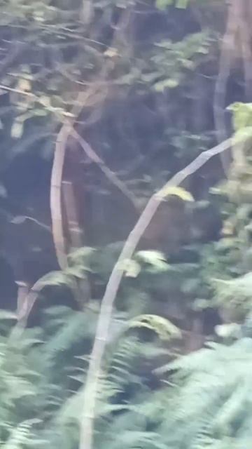 Древние артефакты погибшей цивилизации у водопада. Аджария. 8-я Вавилоно-Ассир-ая цивил-я. МНШУ