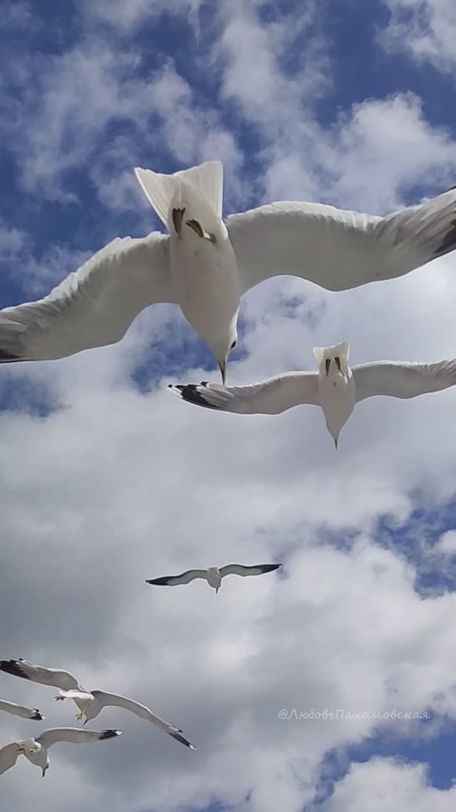Быть на одной с тобой волне