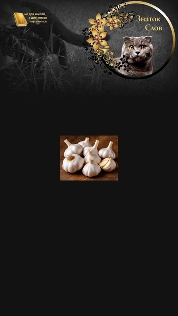 Знаток слов. 3#shorts