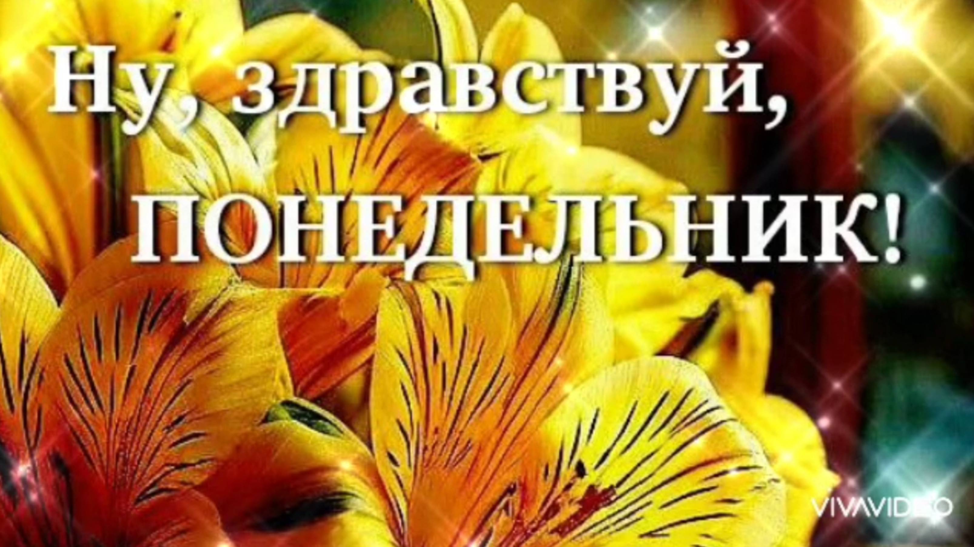 ЗДРАВСТВУЙ, ПОНЕДЕЛЬНИК ! ДОБРОГО ОСЕННЕГО УТРА