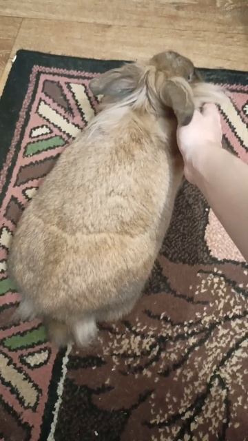 Ласковая Банюшенька