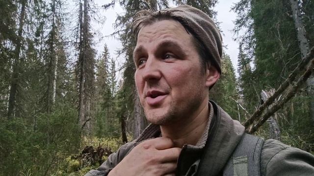 поездка к избе на две ночи,поиск дичи в делянках, найда сбежала