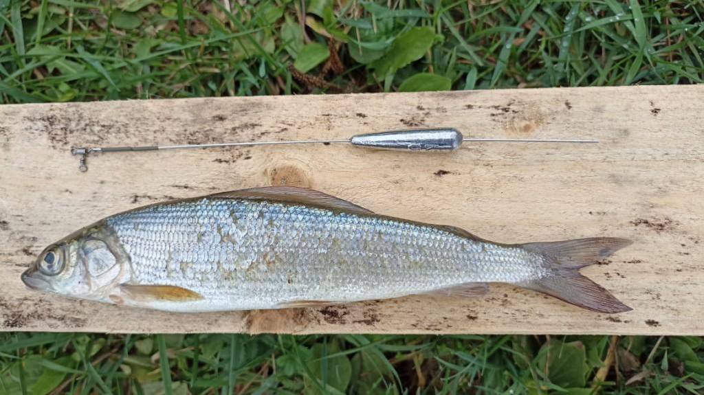 Ловля хариуса на снасть ''балеринка''