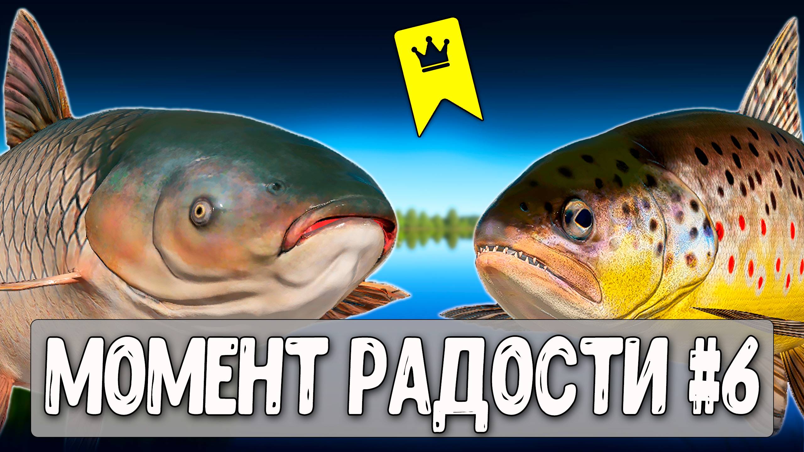 Троф амур на адриатику с жестким размотом и размот на белой #рр4