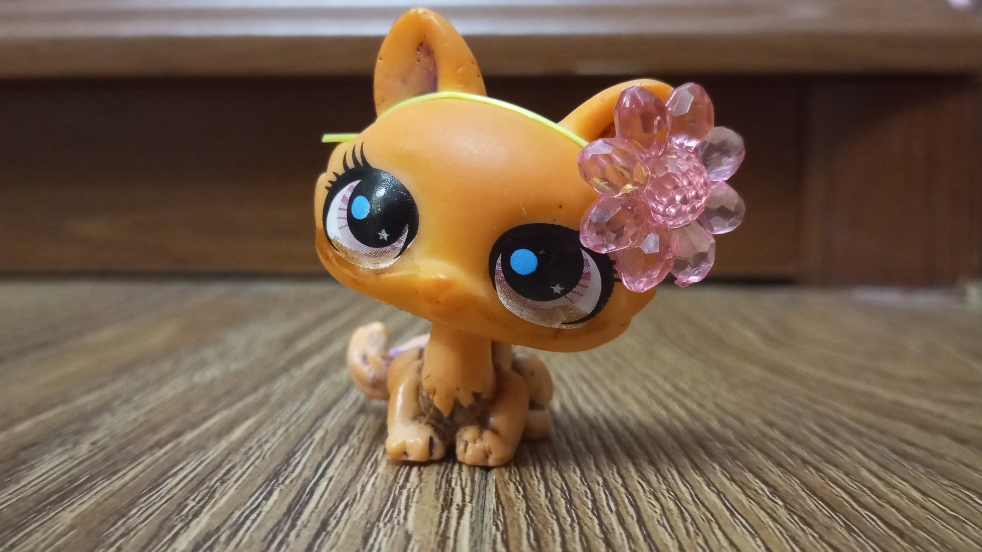 лпс школа история Рейчел 5