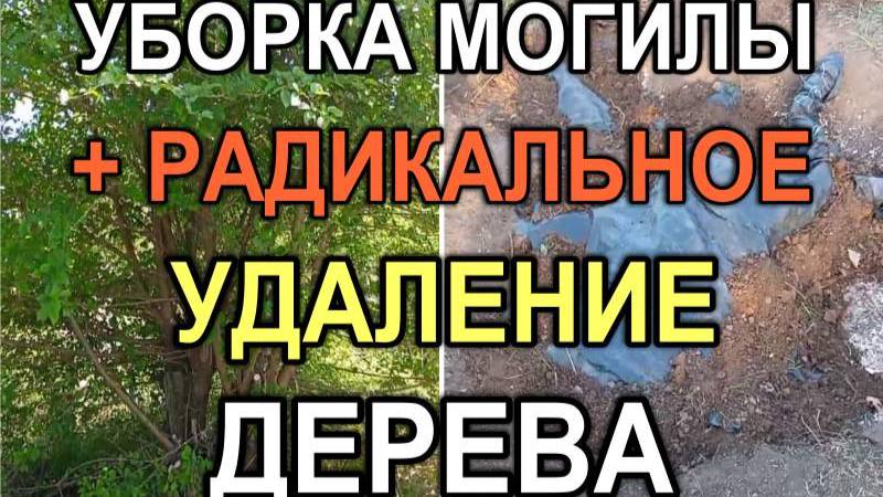 548M - Уборка могилы с радикальным удалением дерева, Кривой Рог