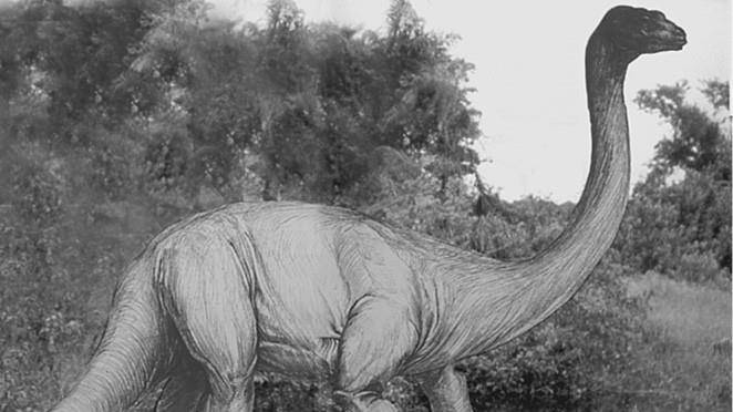 Мокеле-Мбембе («тот, кто останавливает течение рек») / mokele-mbembe / монстры / криптозоология