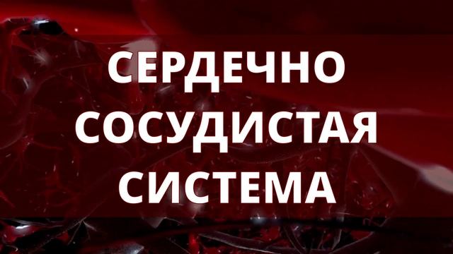 Исцеление Сердца и Венозной Системы*Без Лекарств, Просто Слушай*Снятие Спазмов
