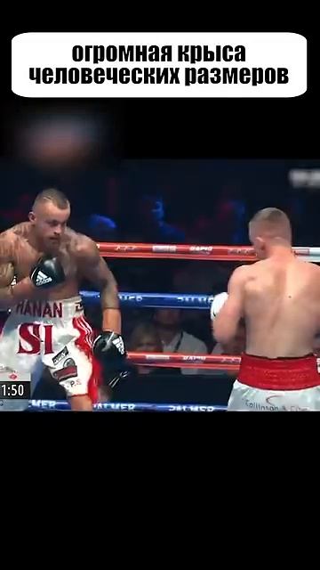 самоуверенный боксёр получил по заслугам