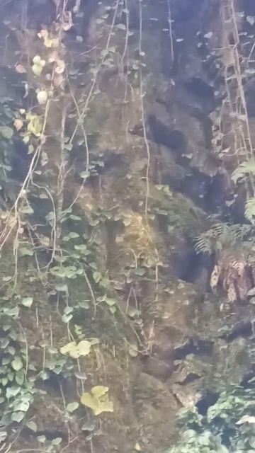 Водопад в горах Батуми, 8-я Вавилоно-Ассирийская цивилизация. Мир Универсологии