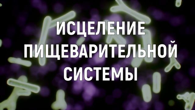 ИСЦЕЛЕНИЕ ПИЩЕВАРИТЕЛЬНОЙ СИСТЕМЫ ЗА 1 МЕСЯЦ: ЖЕЛУДОК, КИШЕЧНИК, ЖЕЛЧНЫЙ, ПЕЧЕНЬ!!!*САБЛИМИНАЛ