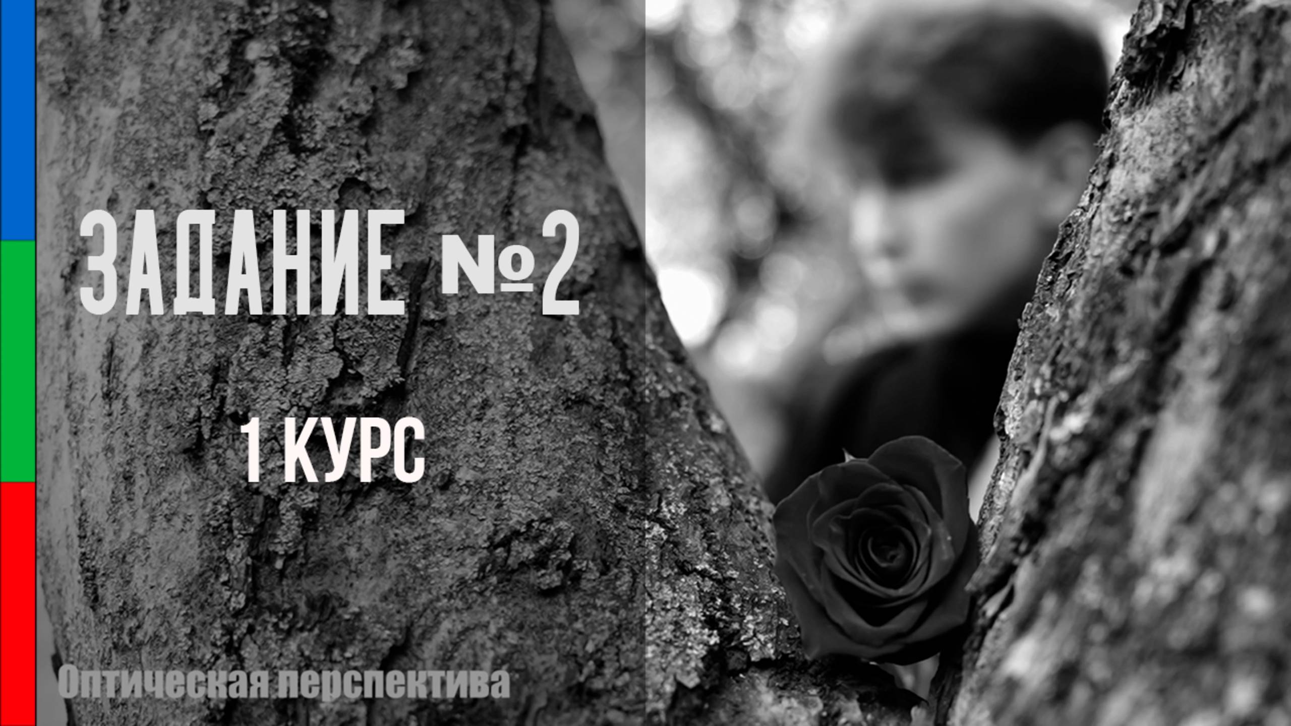 ДО12 Ларионов Иван Крупность кадров и правило третей