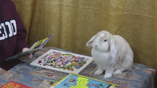 Братцы кролики читают книжки. Жил на свете Неслушайка. И.Кудрявцев