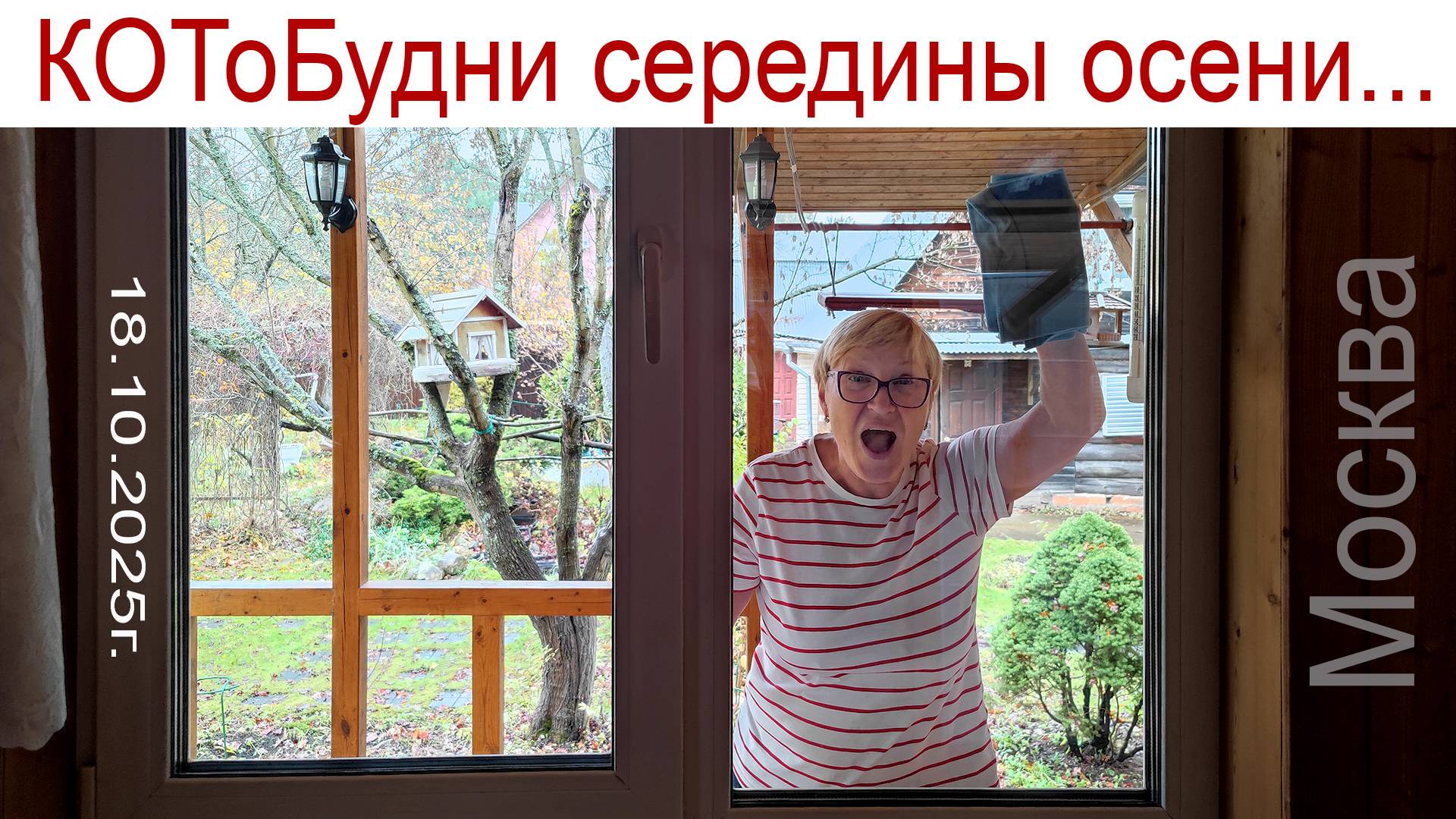 Стучится в стёкла середина осени, смывая лета выцветшую пыль или КОТоБудни середины осени...